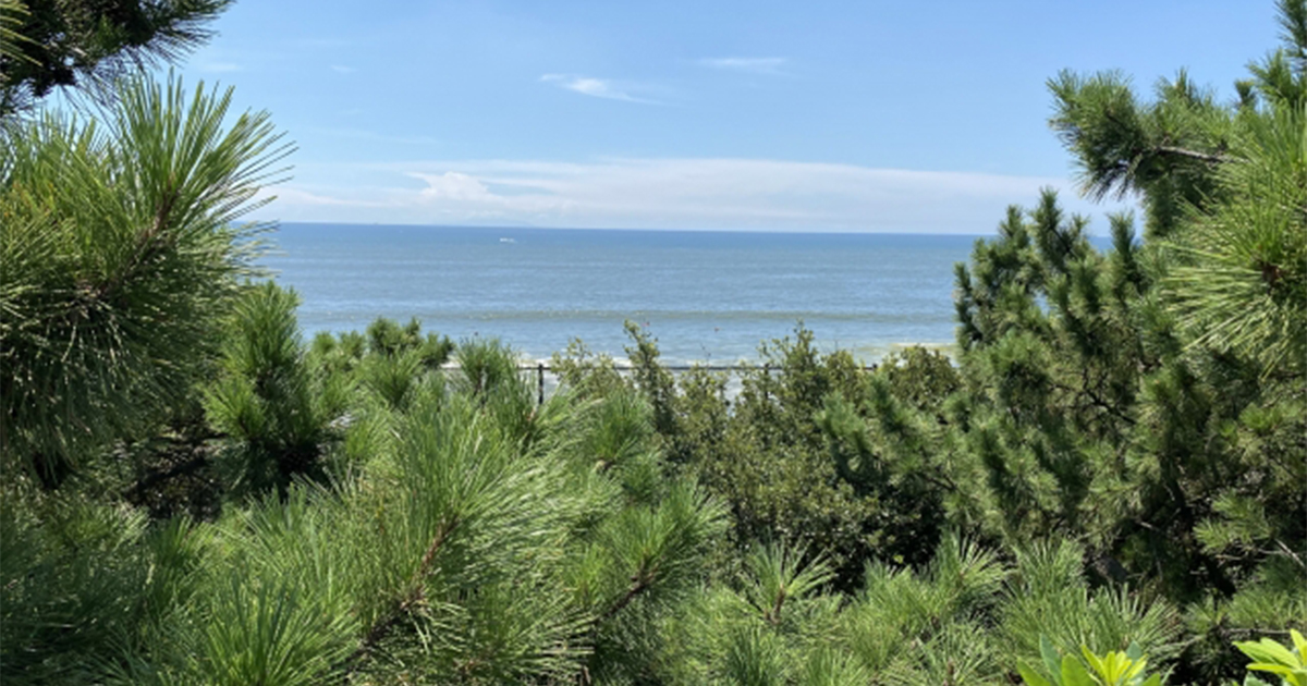 Spring Machine Manufacturer｜SHINKO MACHINERY CO., LTD.